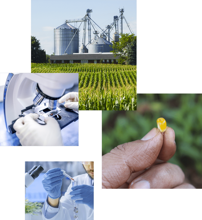 About Us | Arkion Life Sciences